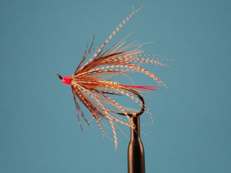 Salmon River « currentseams.com