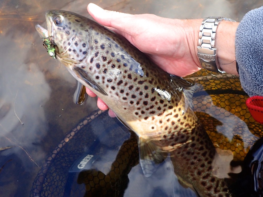 Trout Streamer Leaders for Floating and Full-Sink Lines « currentseams.com