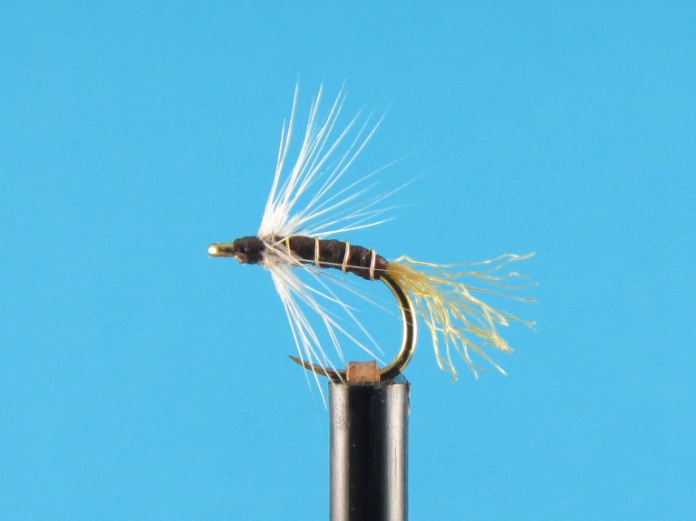 Match Game (matching the hatch with wet flies) « currentseams.com