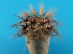 best flies for Hendrickson hatch « currentseams.com