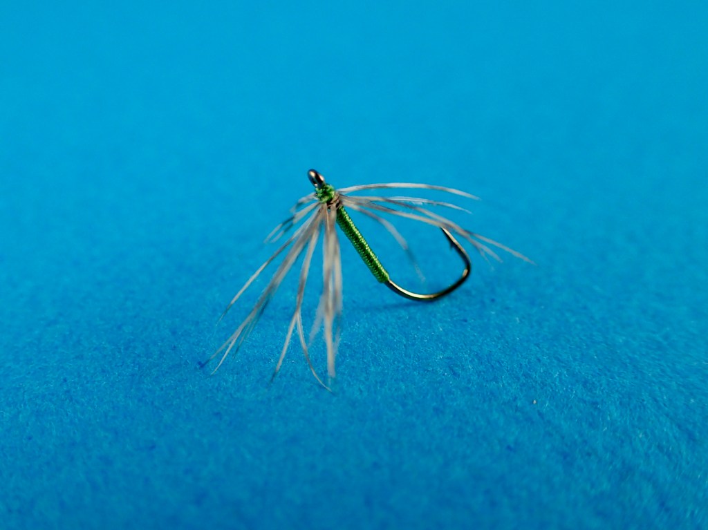 The Best Of North Country Spiders in list form and photos ...