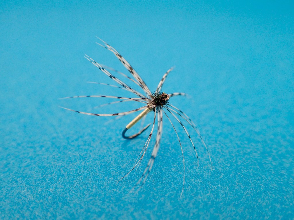 The Best Of North Country Spiders in list form and photos ...