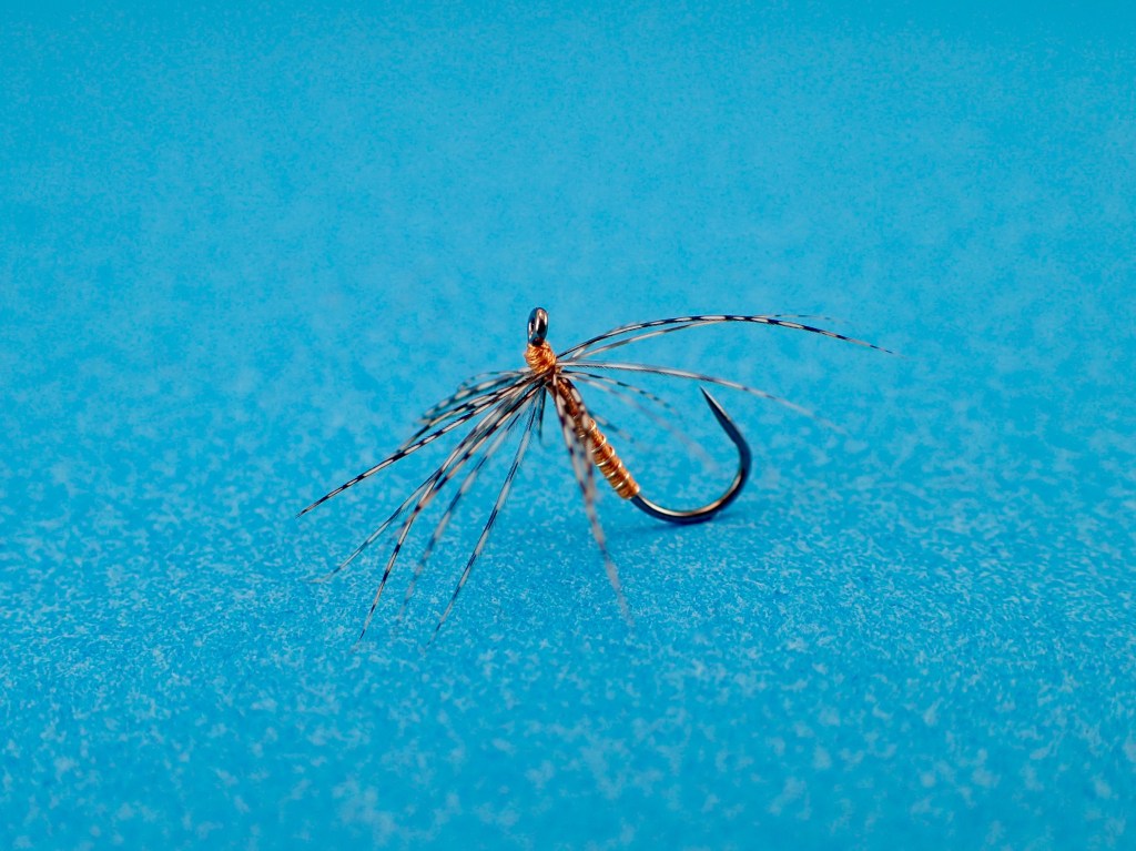 The Best Of North Country Spiders in list form and photos ...