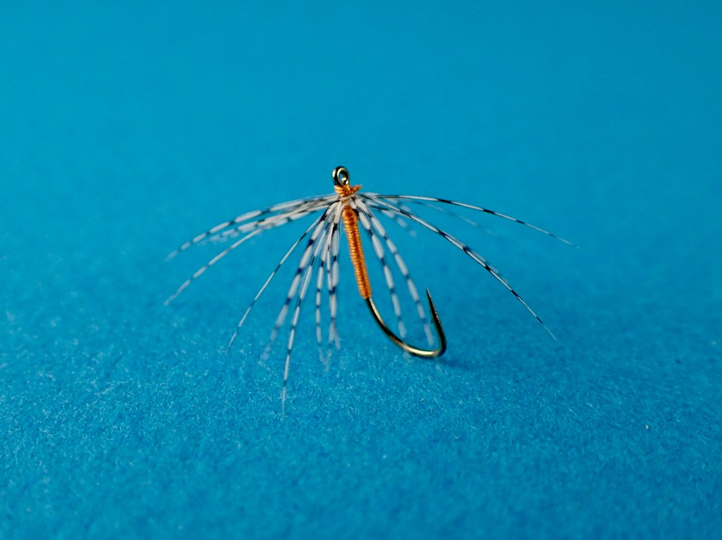 The Best Of North Country Spiders in list form and photos ...
