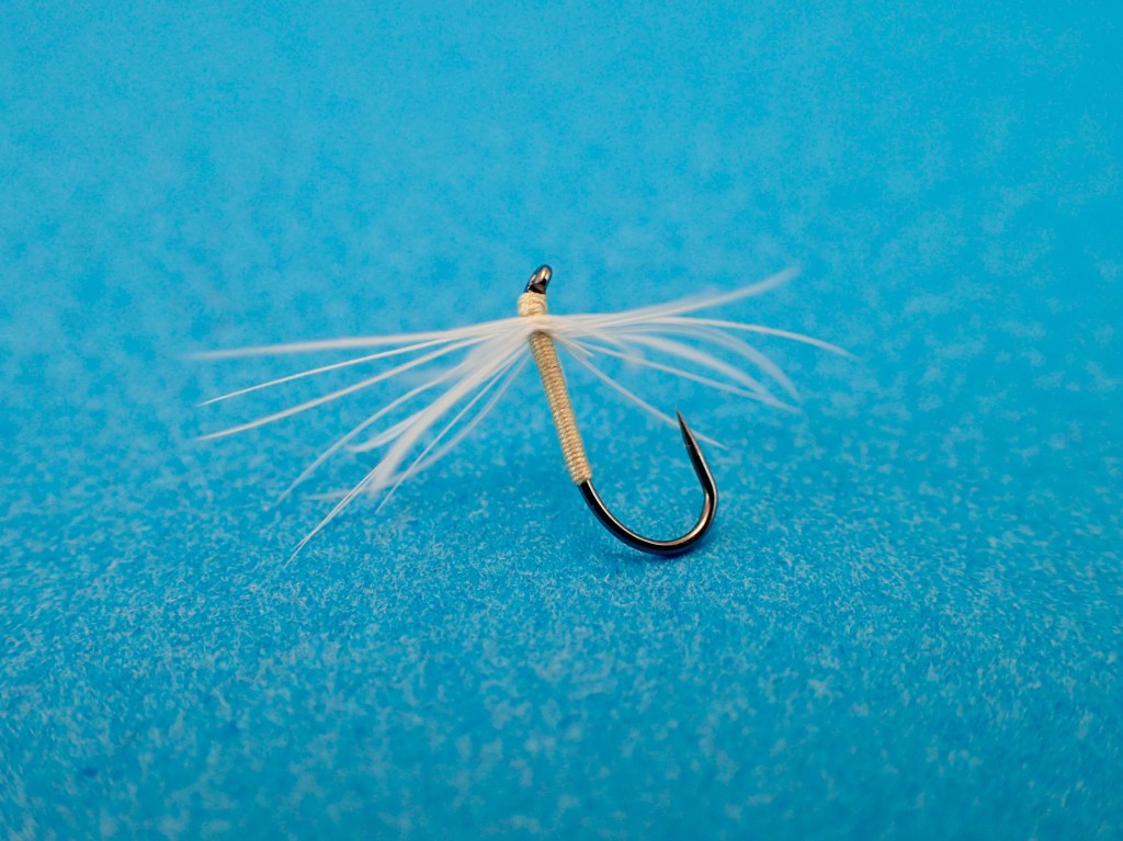 The Best Of North Country Spiders in list form and photos ...