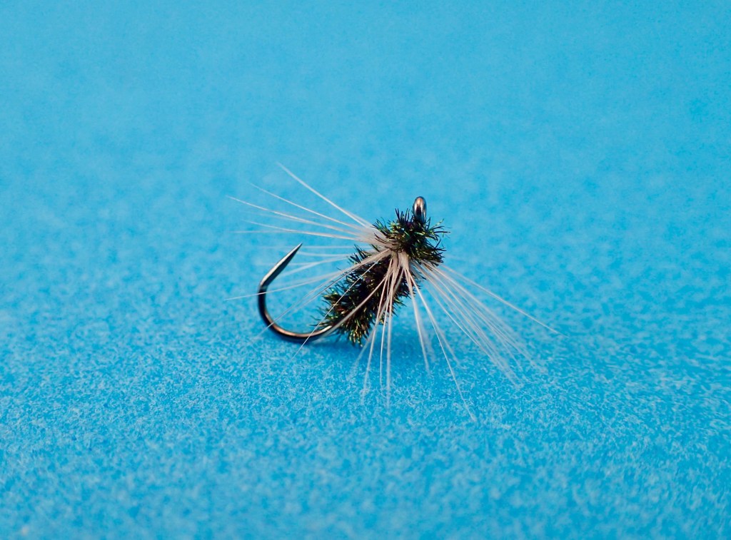 The Best Of North Country Spiders in list form and photos ...