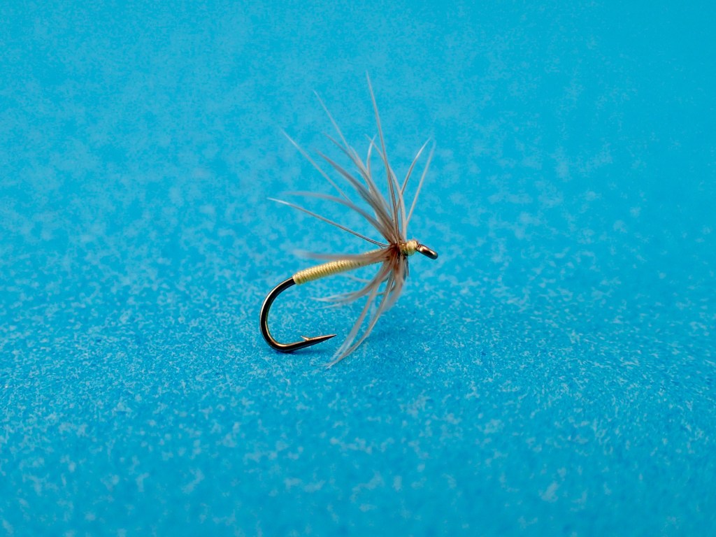 The Best Of North Country Spiders in list form and photos ...