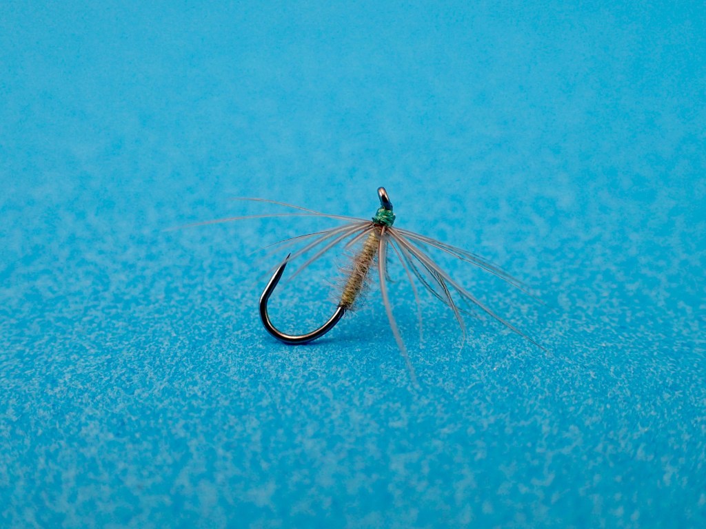 The Best Of North Country Spiders in list form and photos ...